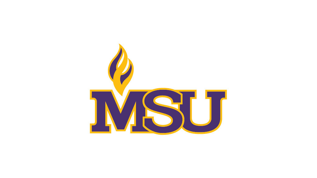 Logo Guidelines and Download | Minnesota State University, Mankato ...